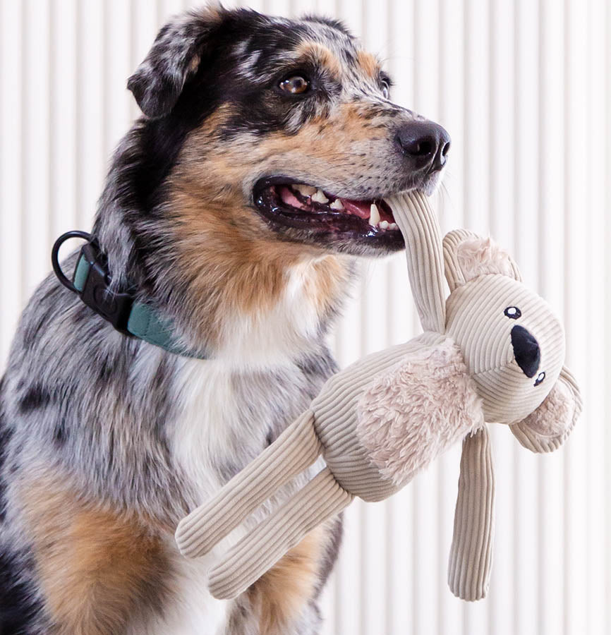 FuzzYard Life Dog Toys