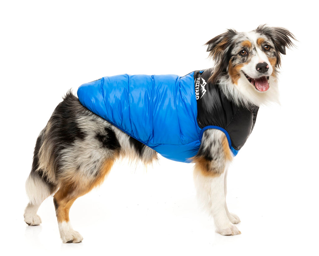 Harlem Puffer Jacket - Blue – FuzzYard